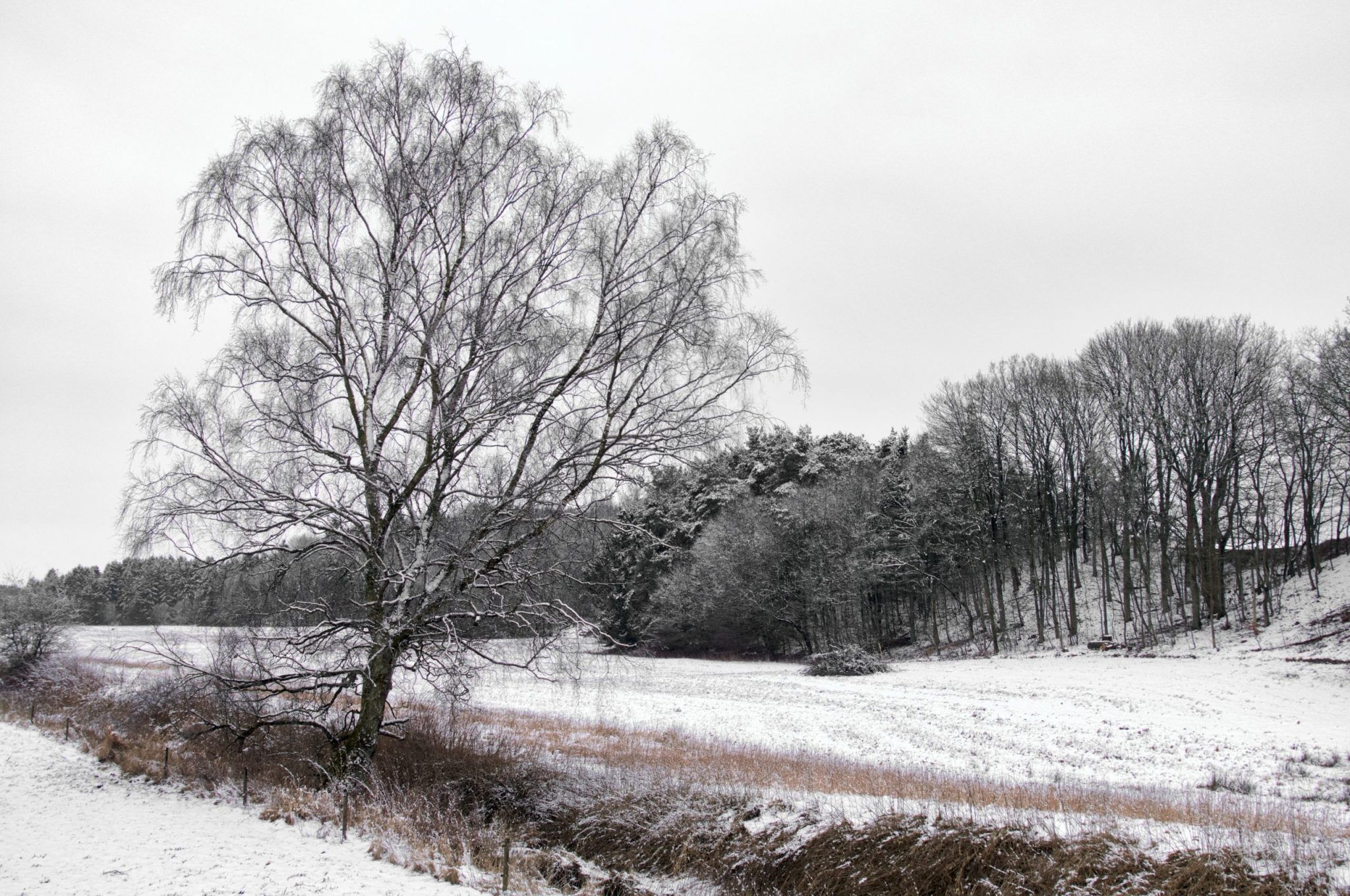 52 uger 2018 – Gisle