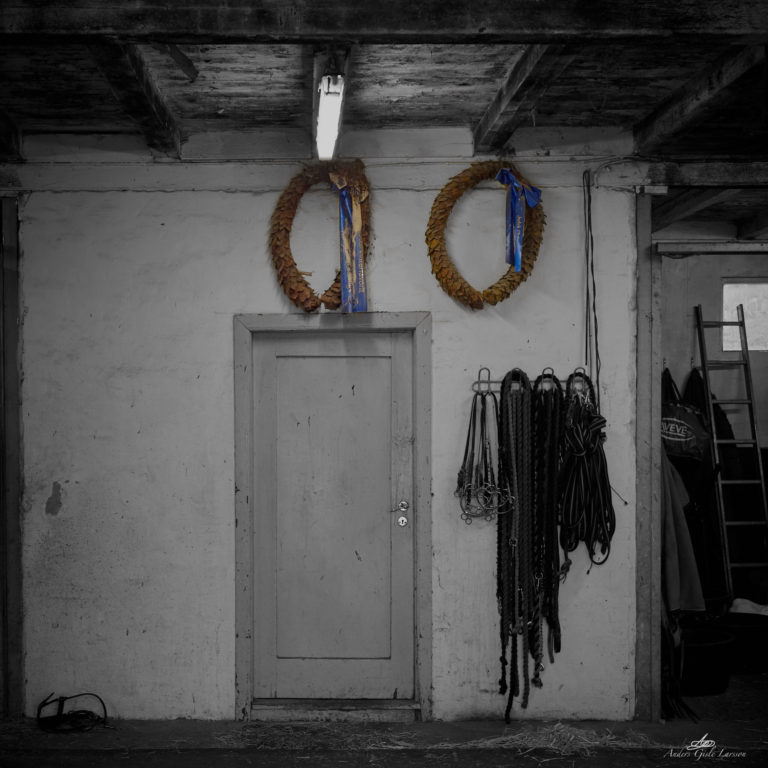 Der var engang – Gisle